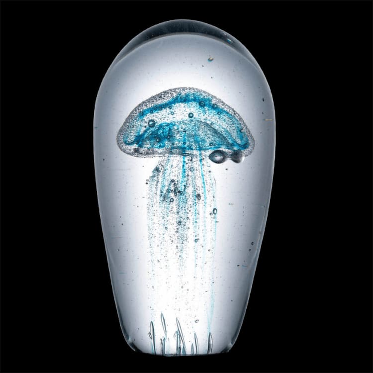 Méduse de Verre | Omega Statue